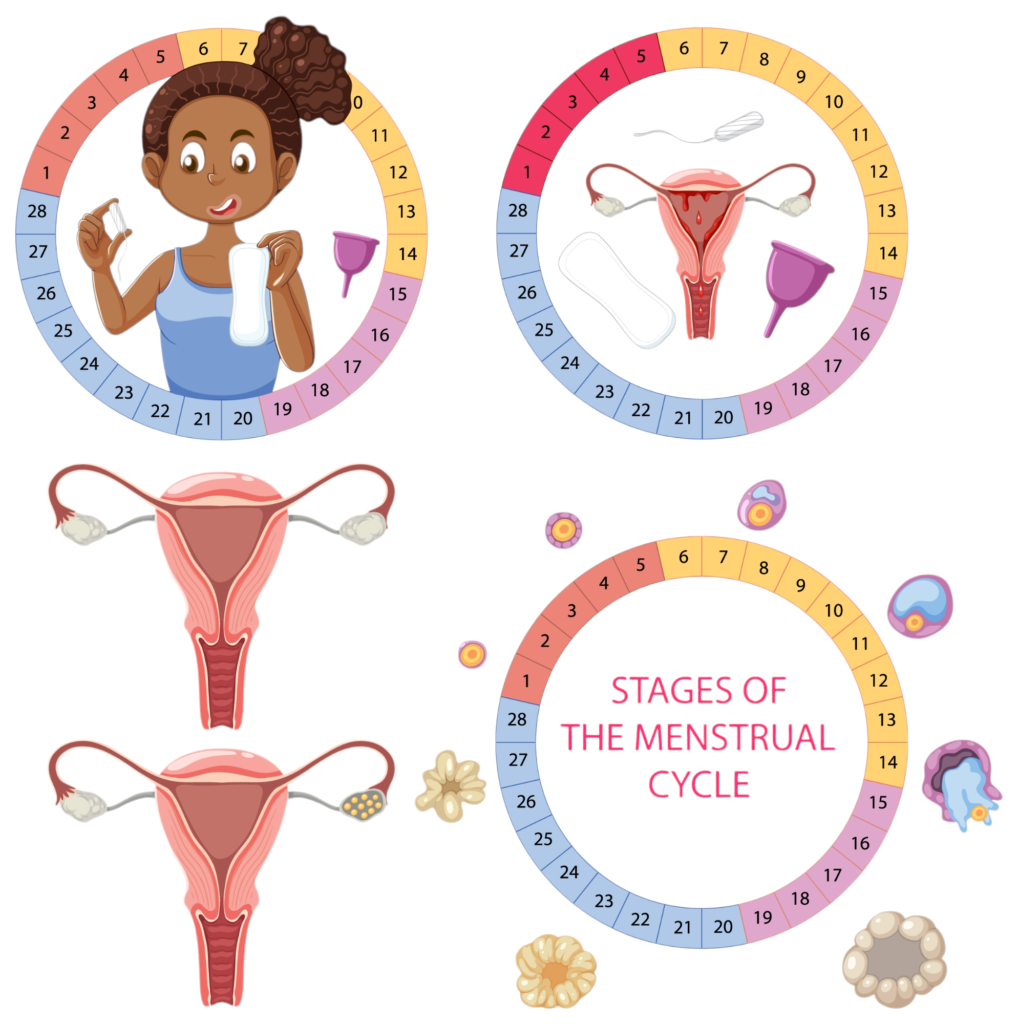 How to Track Your Menstrual Cycle and Why It’s Important – Heels4Pads Foundation